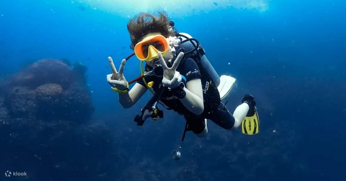 Пробное погружение с аквалангом на Самуи в 5-звездочном центре PADI - Klook Россия